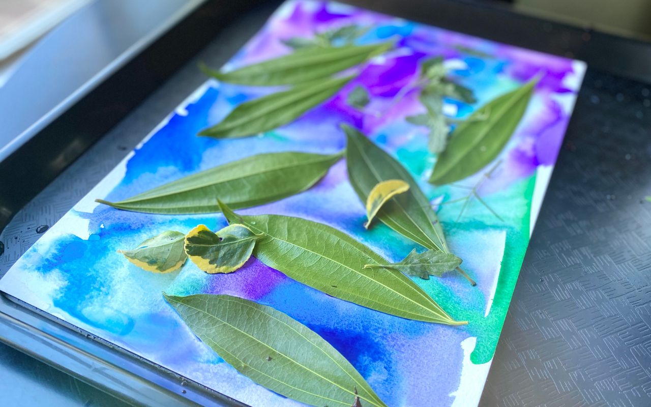 Magical Leaf Outlines