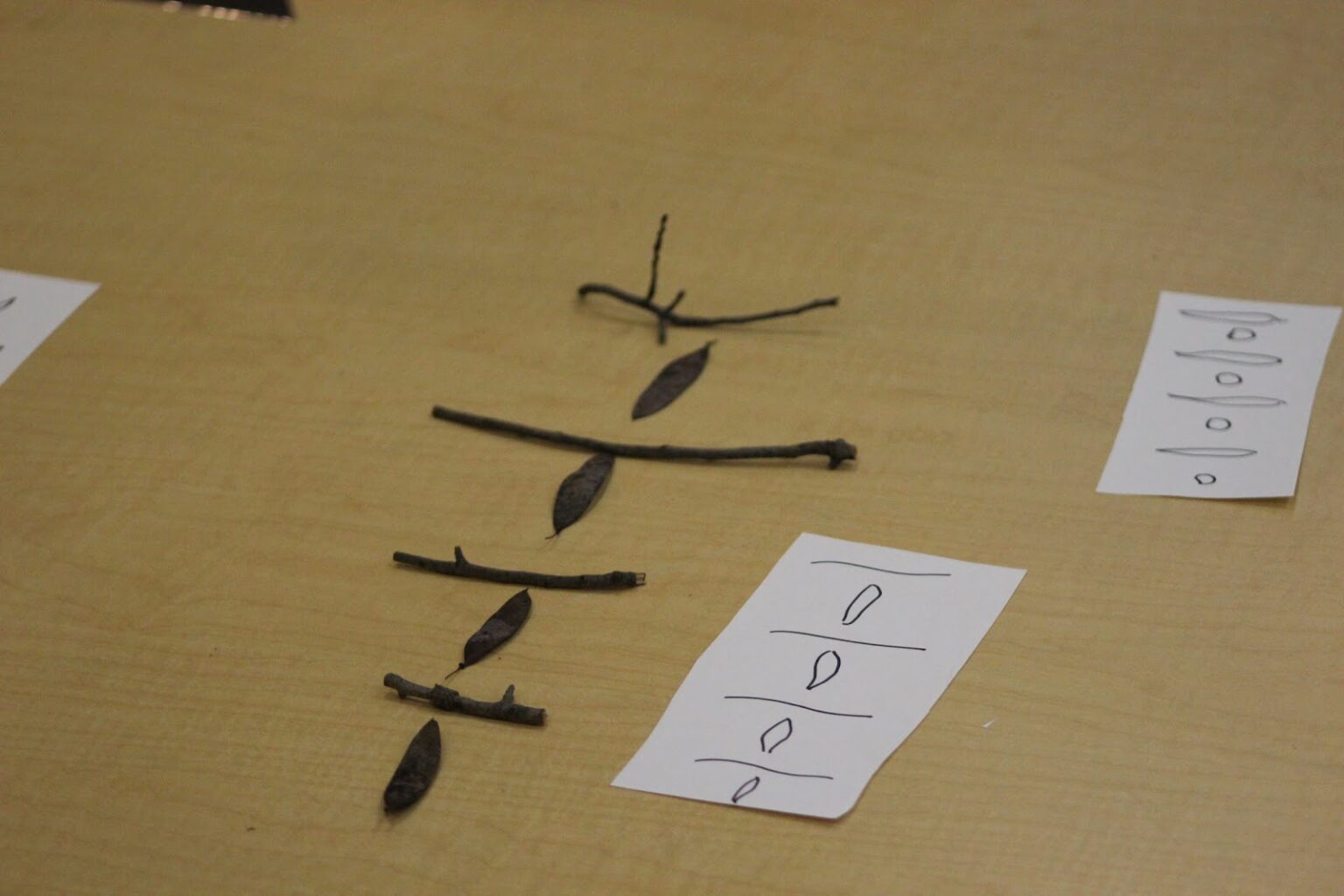 23 Ways to Use Loose Parts Play for Academic Learning - Wunderled